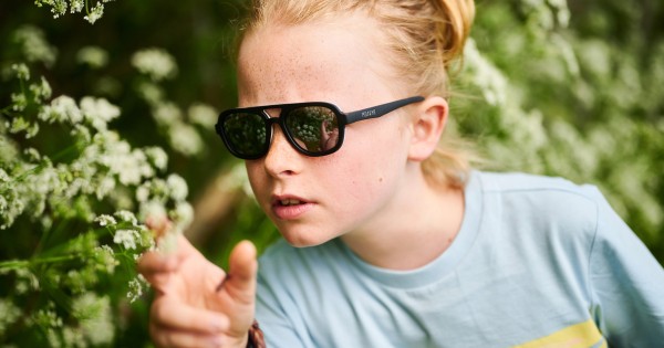 Home - Optiplus Website BE